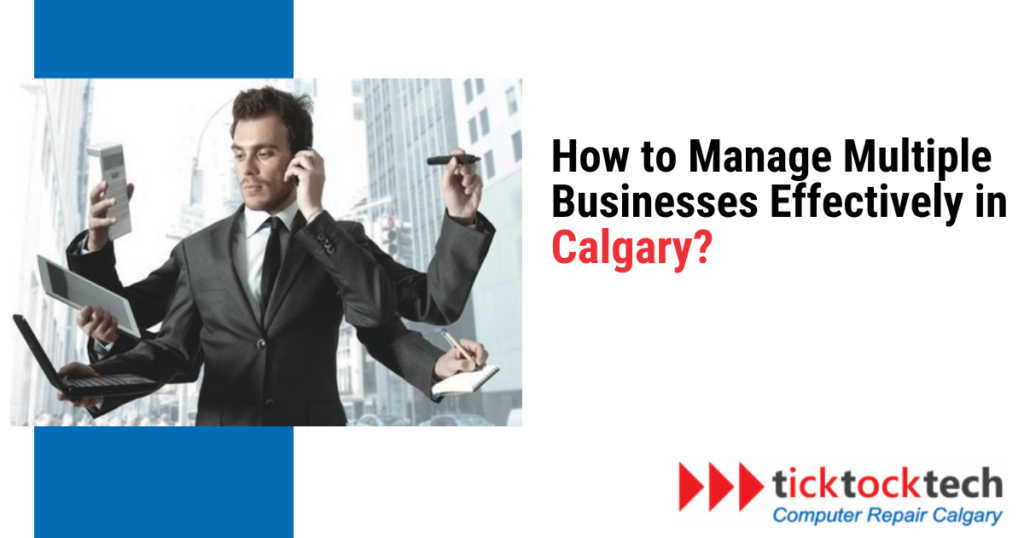 How to Manage Multiple Businesses Effectively in Canada - TickTockTech ...