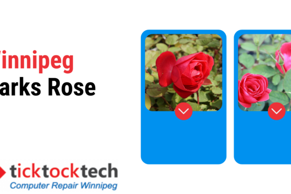 Computer Repair Winnipeg MB, Same Day Repair - TickTockTech®